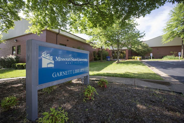 Rebekah McKinney chosen as director of library services at the Garnett ...